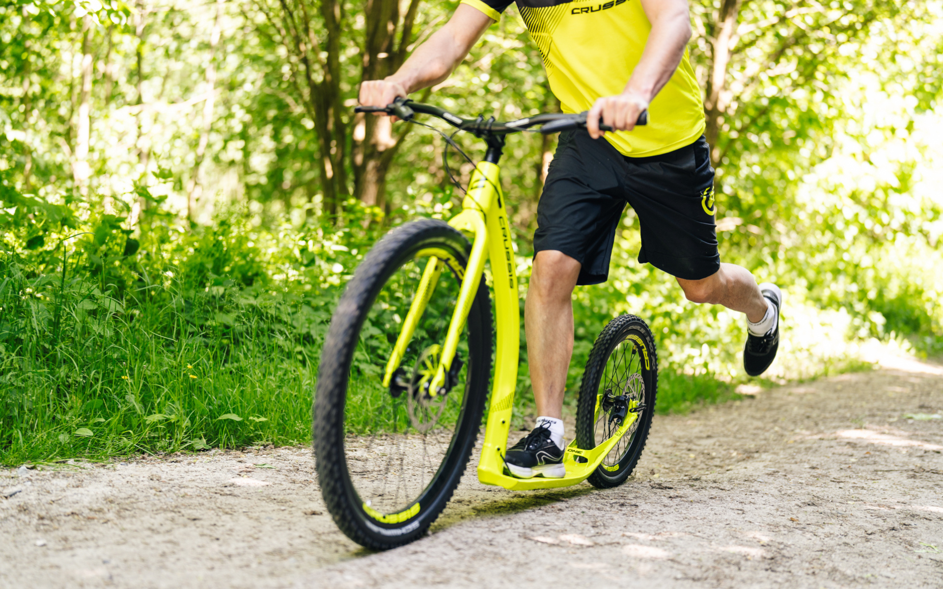 CRUSSIS and AVINOX | CRUSSIS